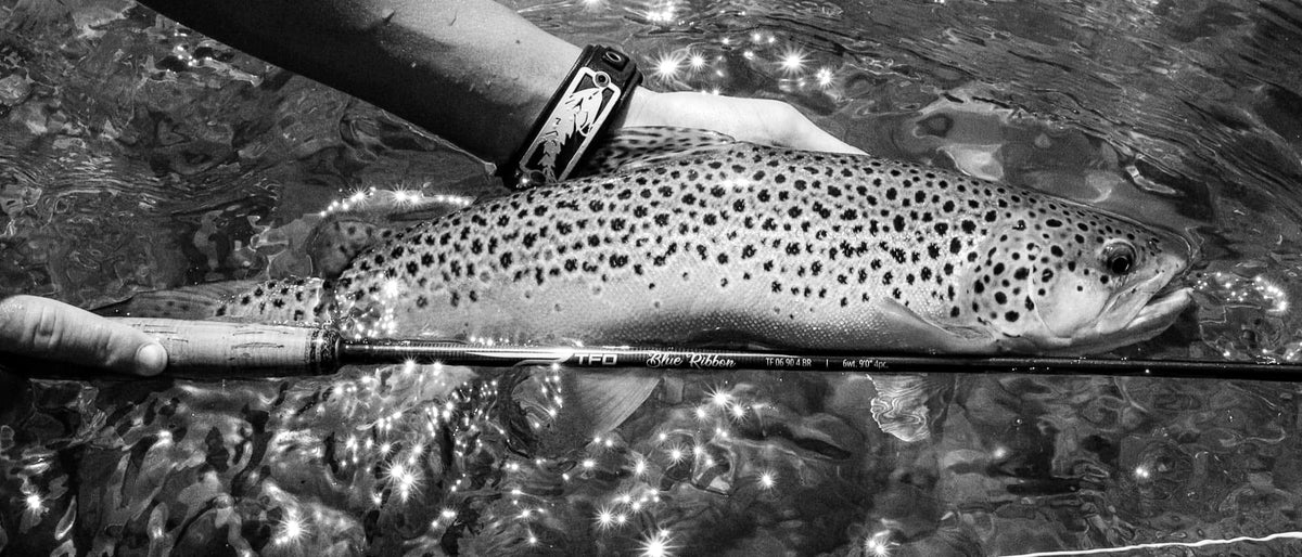 Blue Ribbon – Raft & Fly Shop