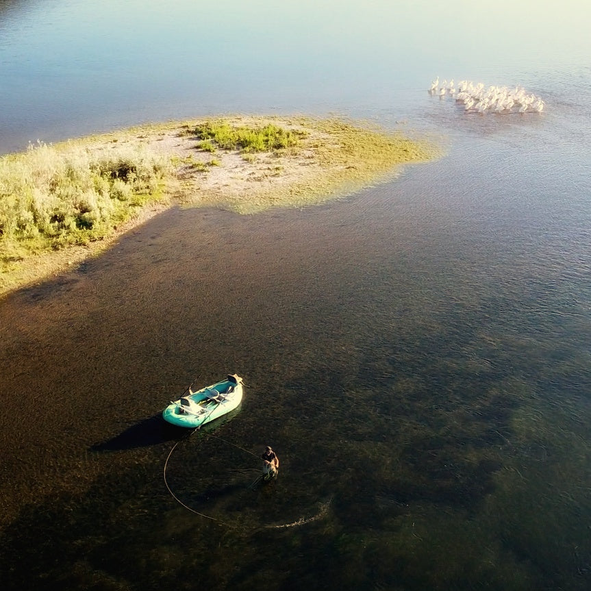 TFO PRO III TH 7wt 11'0" Switch – Raft & Fly Shop